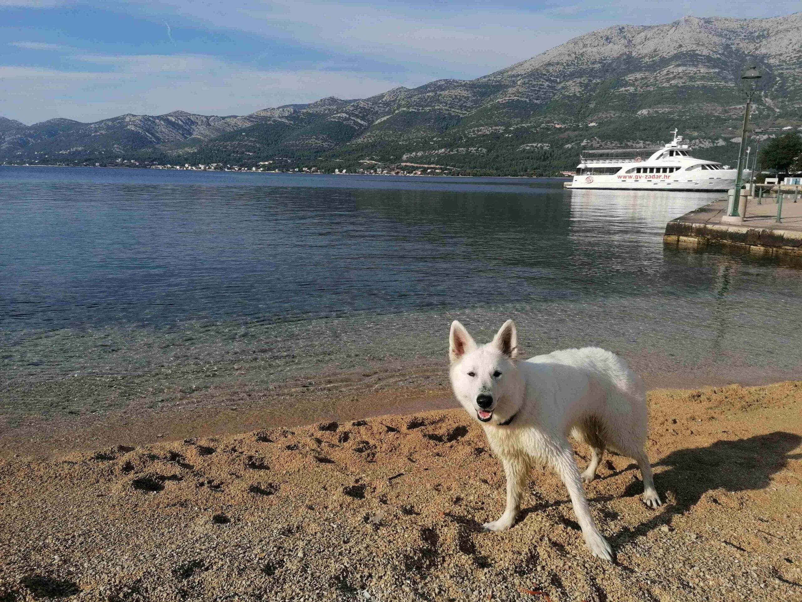 Oneyatrip with a dog: 5. Korčula
